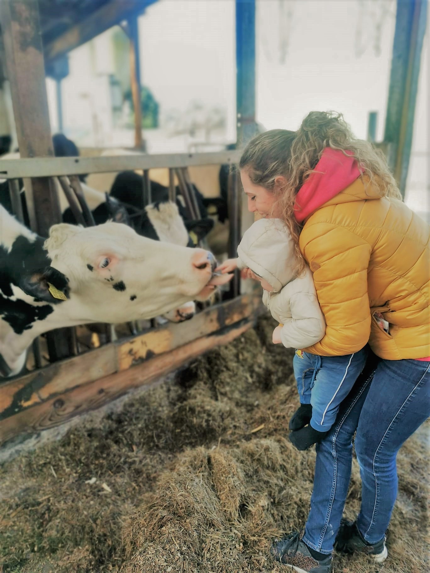Die geborene Mutter - Mami Mara - Der Mama Blog